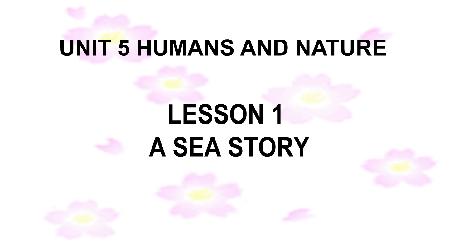 Unit 5 Humans and Nature Lesson 1 A Sea Story （含视频）（教学课件）-高中英语北师大版（2019）必修第二册_正确云资源