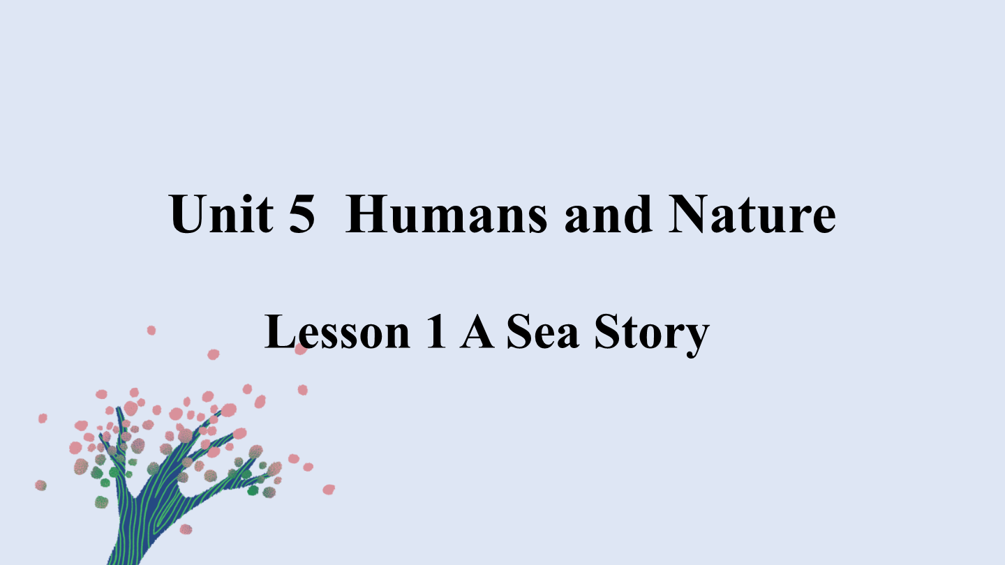Unit 5 Humans and nature Lesson 1 A sea story （教学课件）-高中英语北师大版（2019）必修第二册_正确云资源